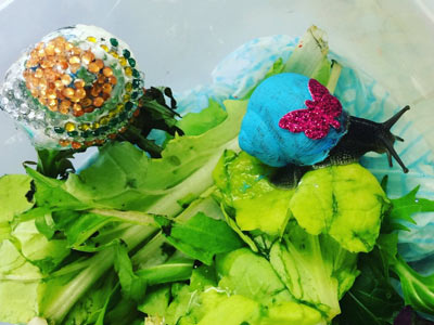 How To Paint A Snail - Snailed